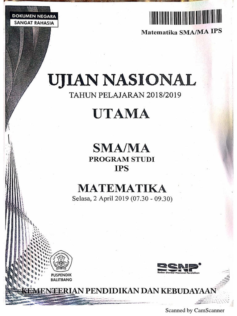 2019 Un Mat Ips | PDF