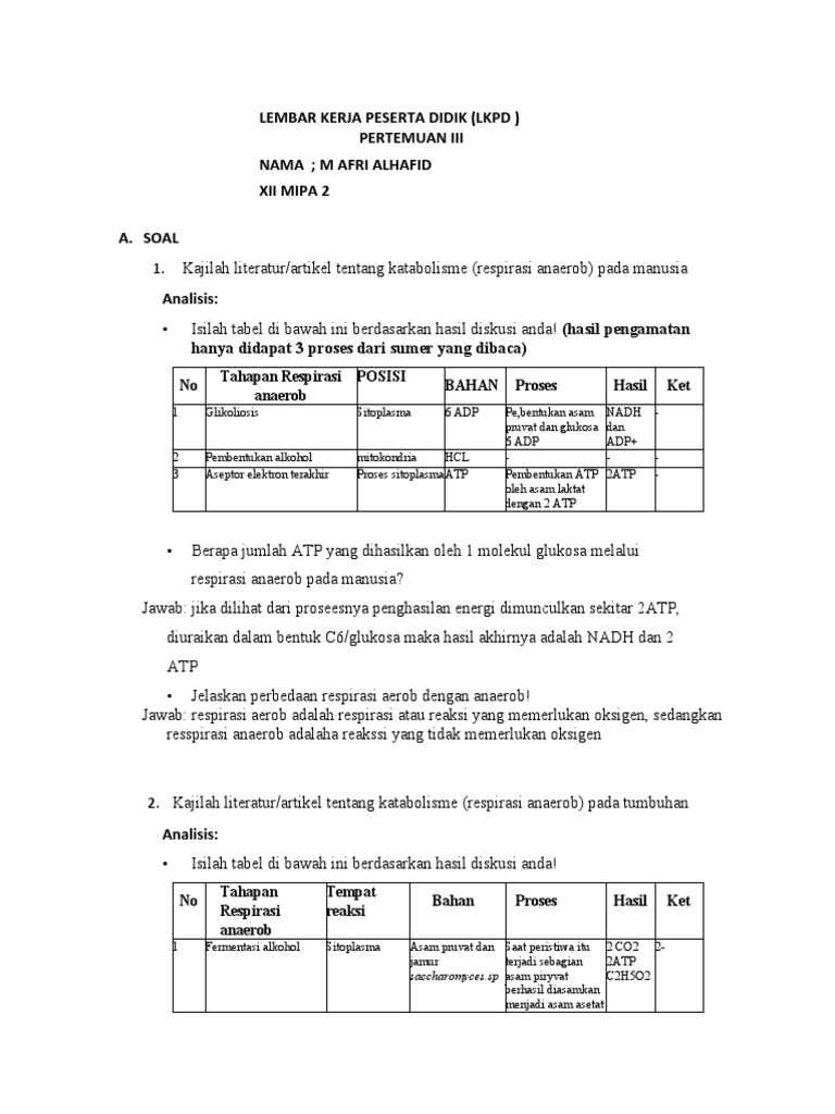 Perbandingan Fermentasi Alkohol dan Asam Laktat | PDF