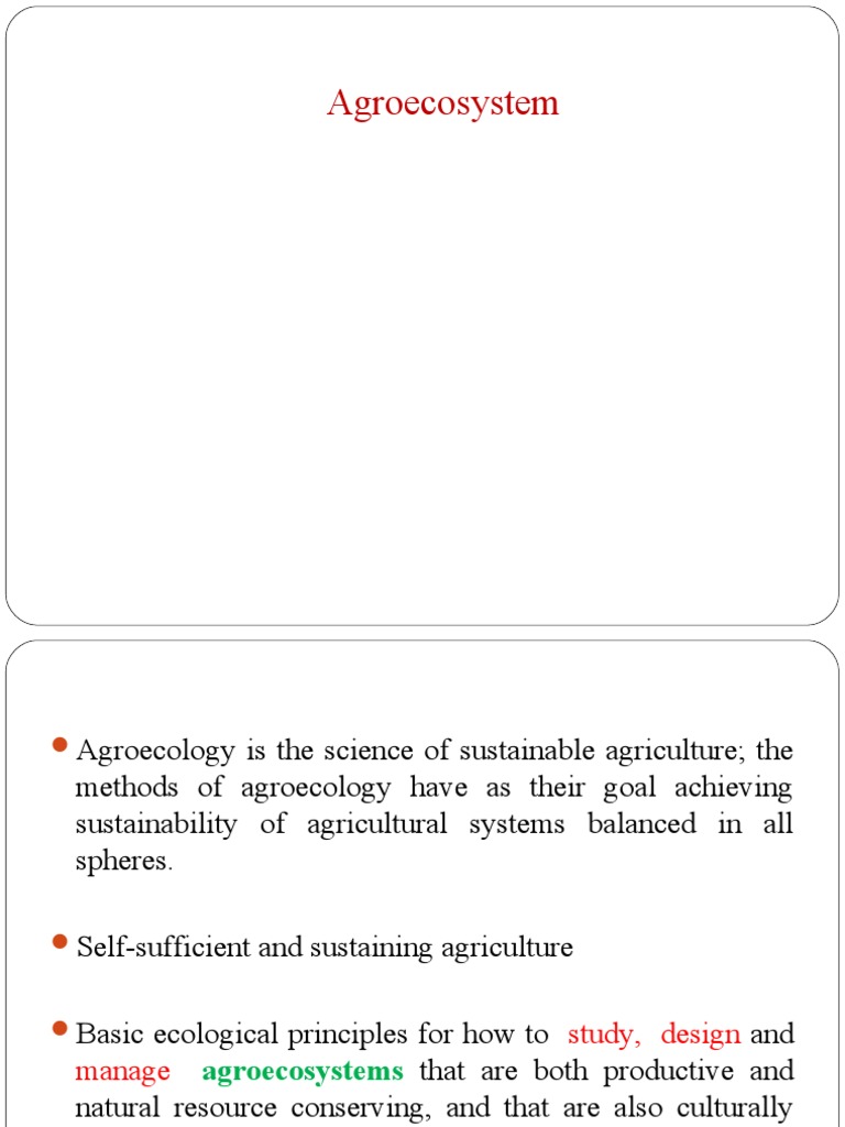 Agro Ecosystem | PDF | Agriculture | Soil