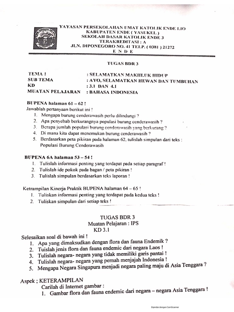 Soal BDR 3 | PDF