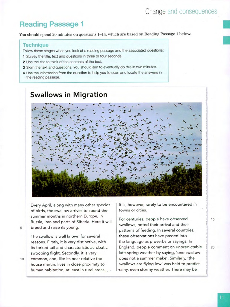 Reading Passage 1: Swallows in Migration | PDF | Bird Migration | Noun