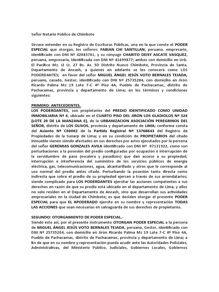 Minuta de Poder Especial | PDF | Gobierno