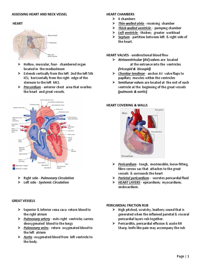 Assessing Heart and Neck Vessel Heart Heart Chambers: (Tricuspid ...