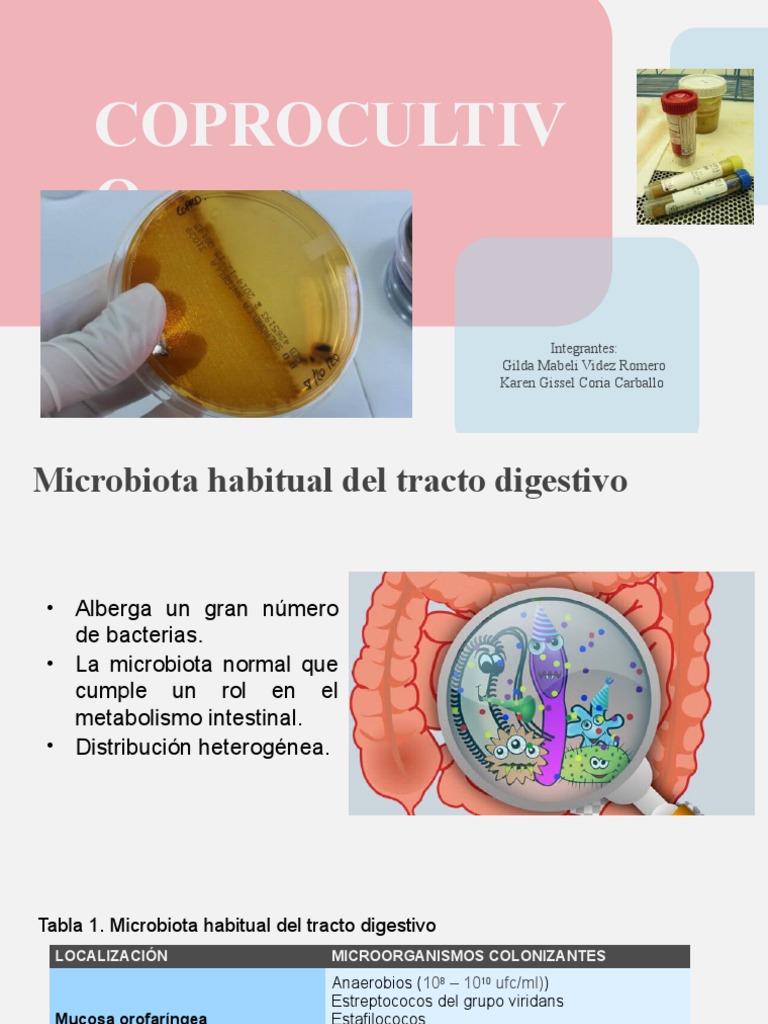Coprocultivo Pdf Diarrea Las Bacterias