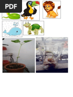 Prefabricados en Ecuador | PDF