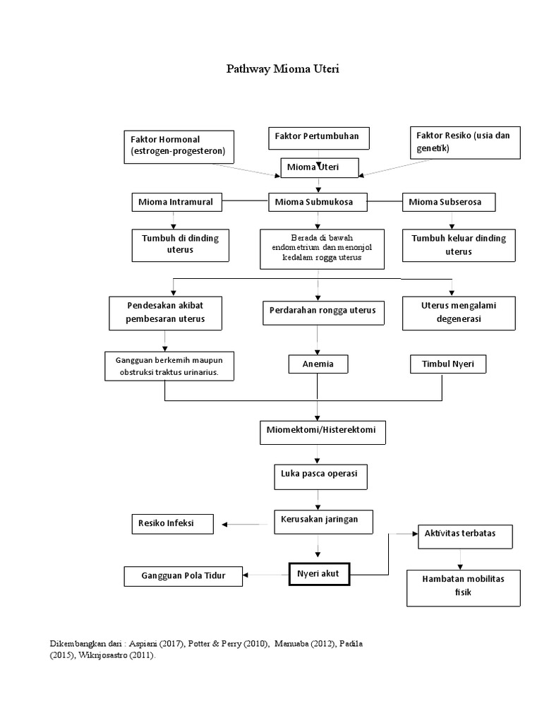 Pathway Mioma Uteri | PDF