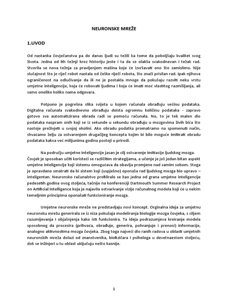 Neuronske Mreže-Teorija Sa Primjerom | PDF