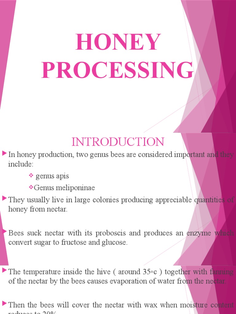 Honey Processing | PDF | Honey | Sugar Substitute