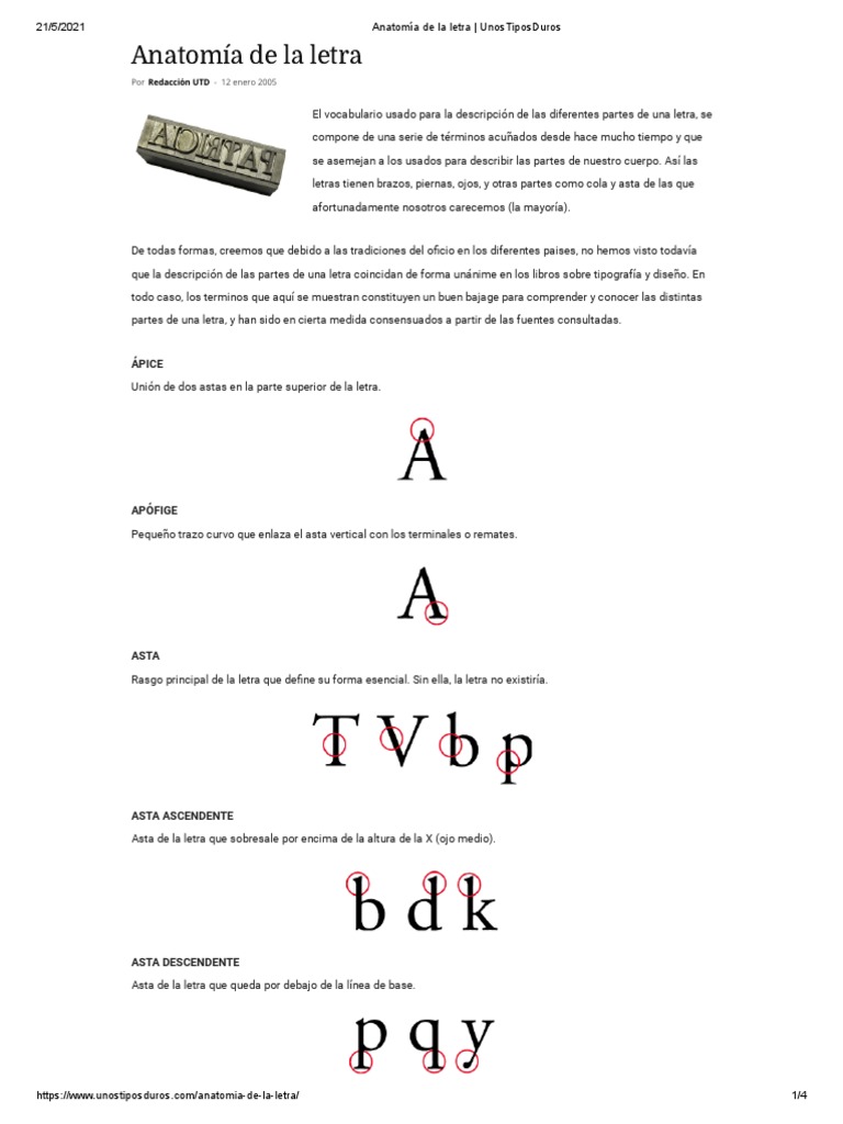 Anatomía de La Letra | PDF | Tipografía