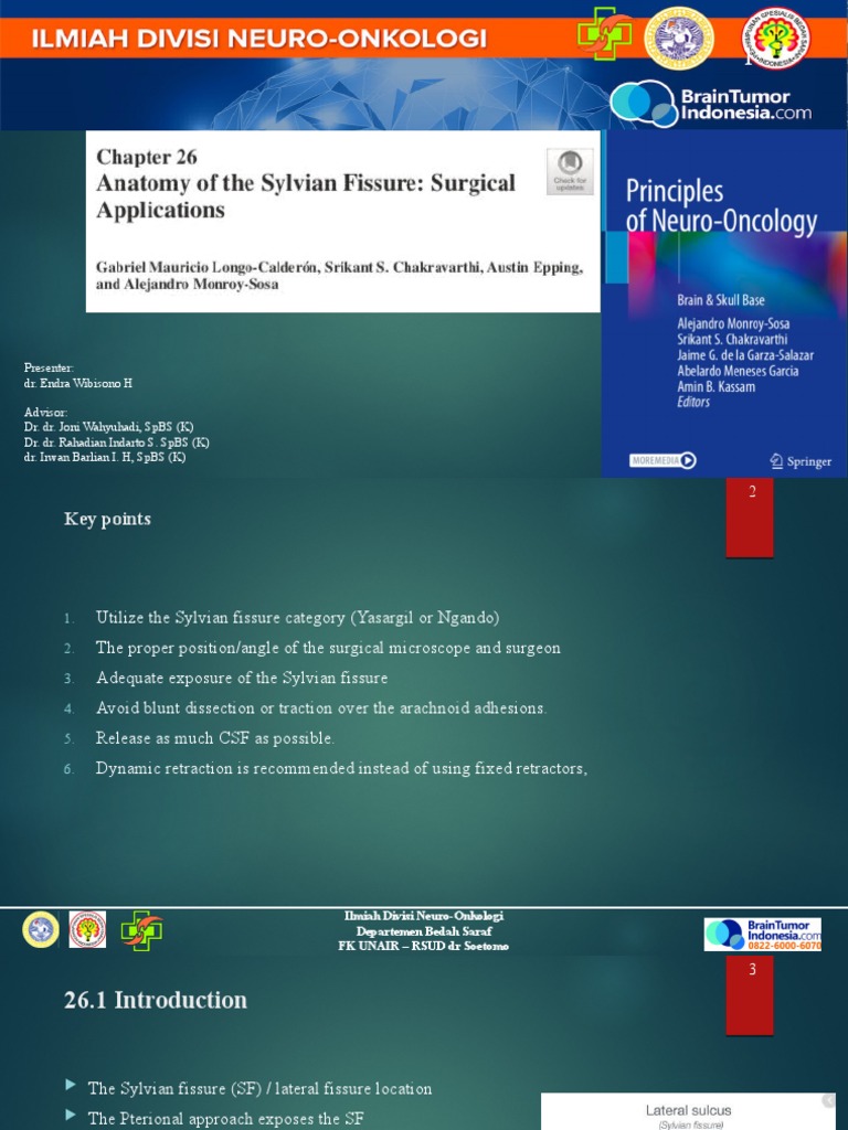 Chap 26 Anatomy Sylvian Fissure | PDF | Frontal Lobe | Skull