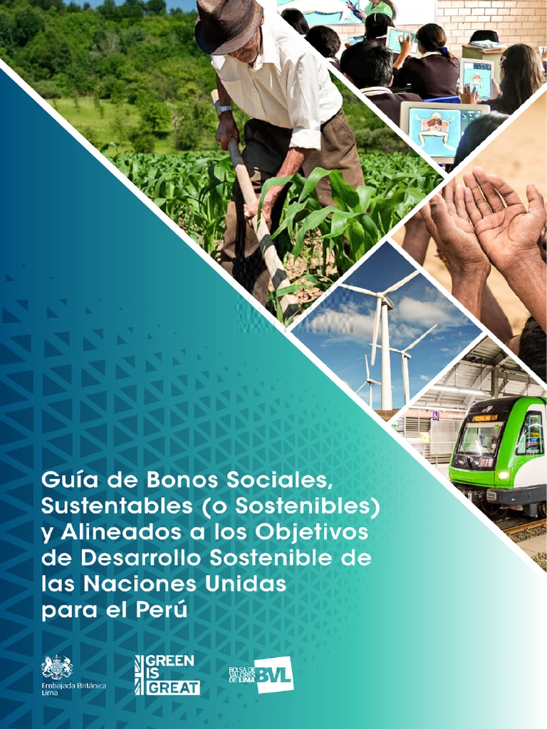 Guía de Bonos Sociales, Sustentables y Alineados A Los ODS de Las ...