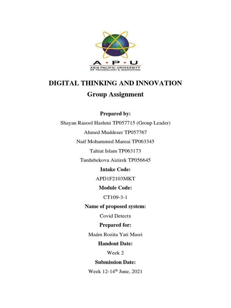 Digital Thinking And Innovation Group 6 Report Shayan Rasool Hashmi Group Leader Pdf 