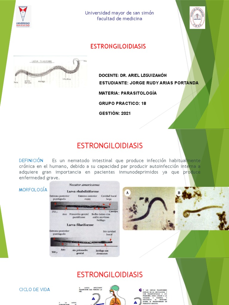 ESTRONGILOIDIASIS | PDF | Diarrea | Tos