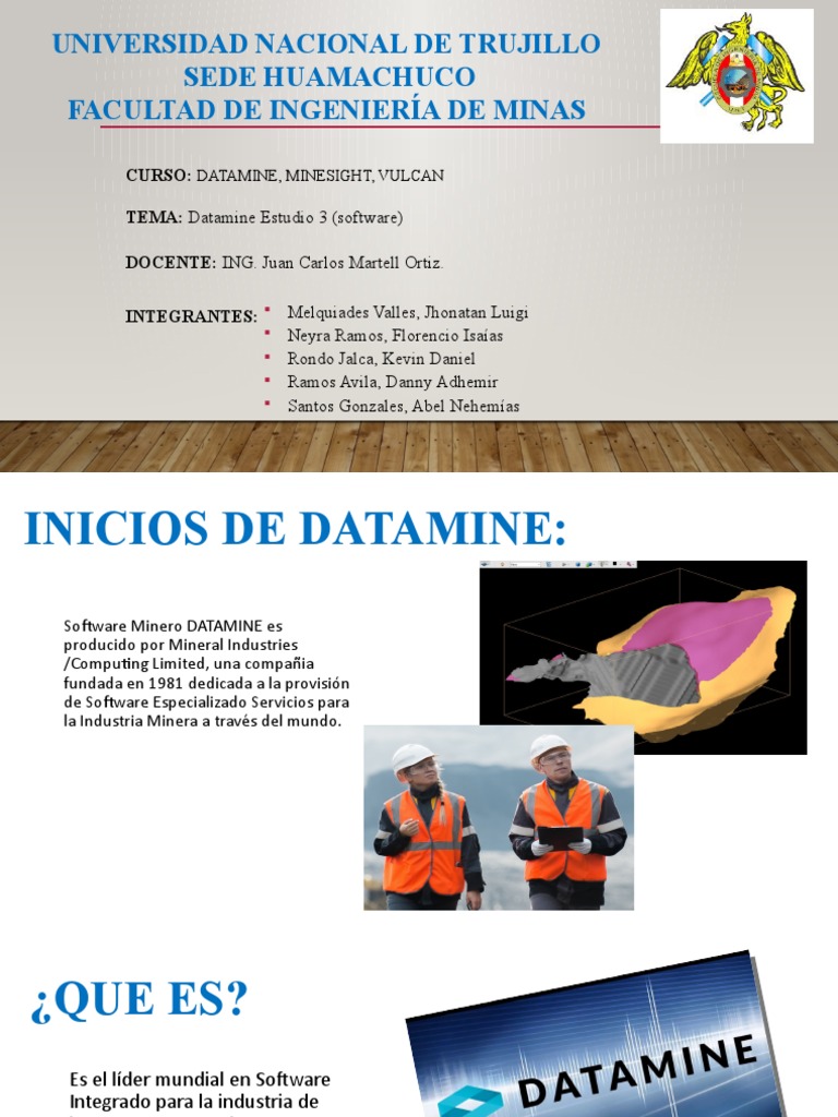 DATAMINE | PDF | Minería | Software