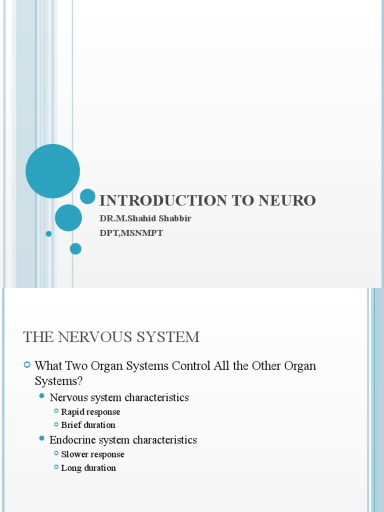 Intro To Neuro | PDF | Central Nervous System | Nervous System