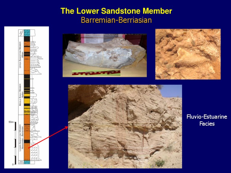 The Lower Sandstone Member: Barremian-Berriasian | PDF