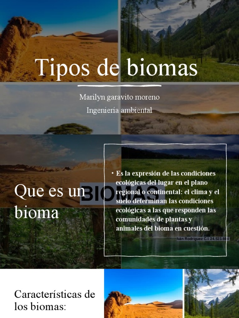 Tipos de Biomas | PDF | Entorno natural | Geografía Física