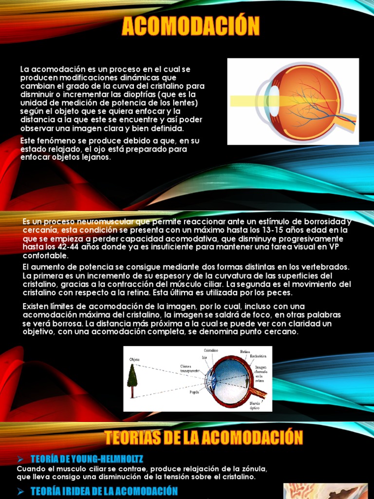 Acomodacion | PDF | Ojo humano | Óptica