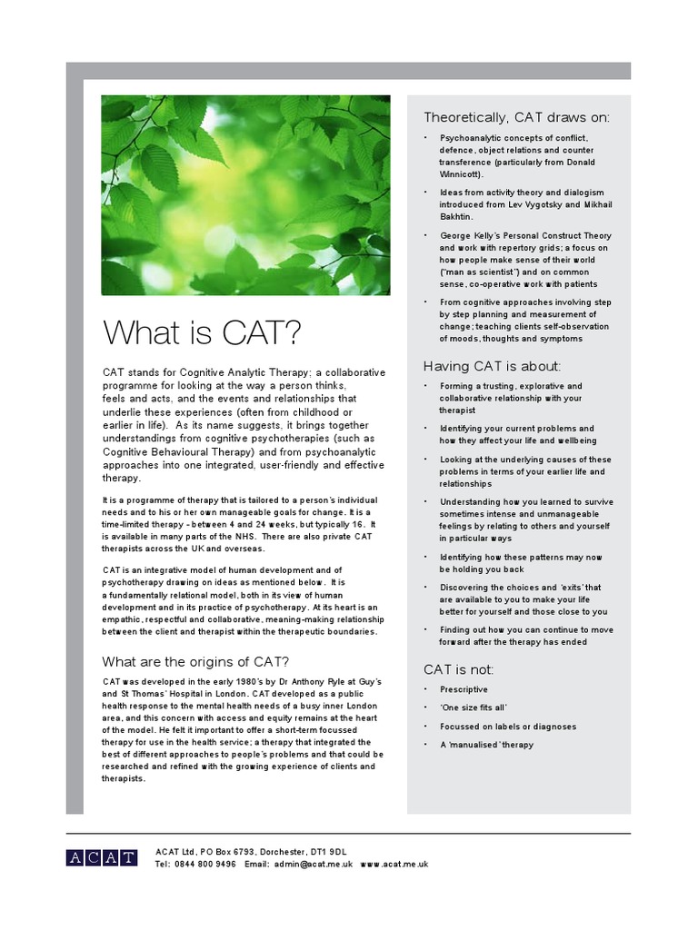 What Is CAT?: Theoretically, CAT Draws On | PDF | Psychotherapy | Therapy