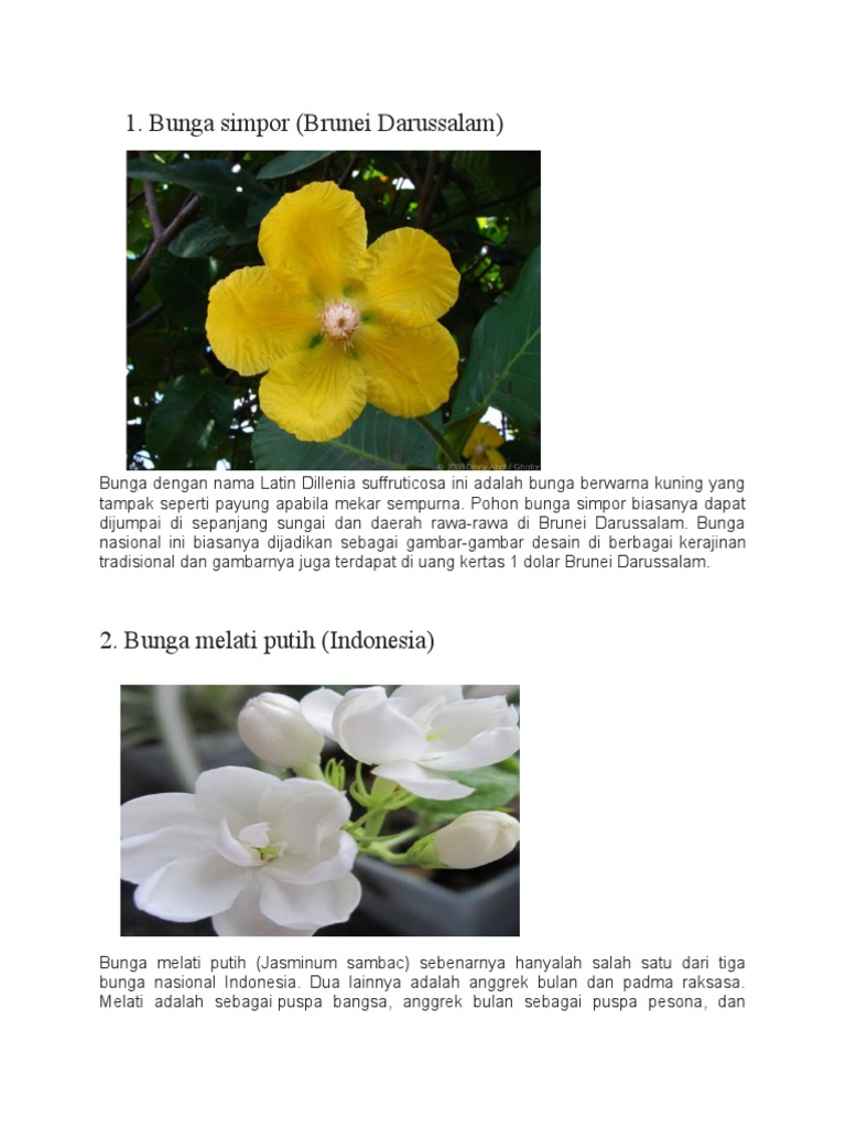 Bunga Nasional di Asia Tenggara | PDF | Griya & Taman | Sains & Matematika