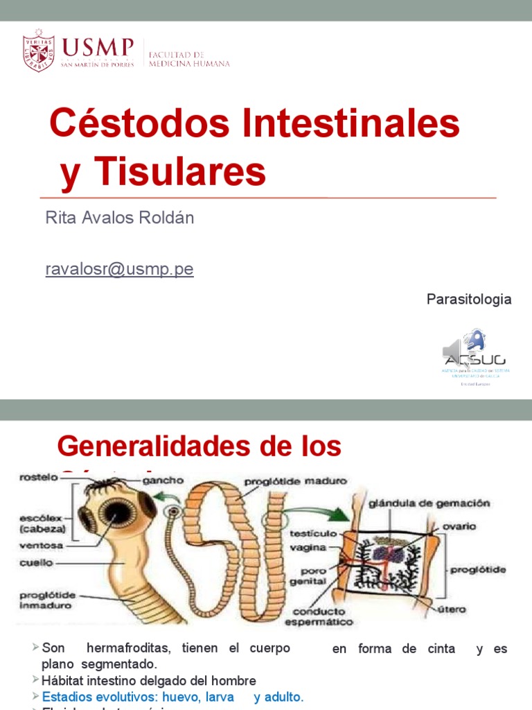 Clase05 Cestodos Intestinales | PDF | Especialidades Medicas | Medicina ...