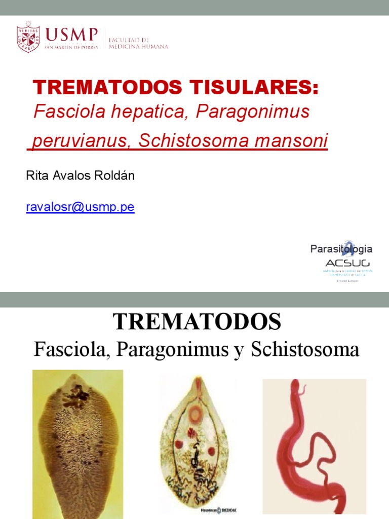 Clase06-Tremátodos Tisulares | PDF | Especialidades Medicas | Medicina ...