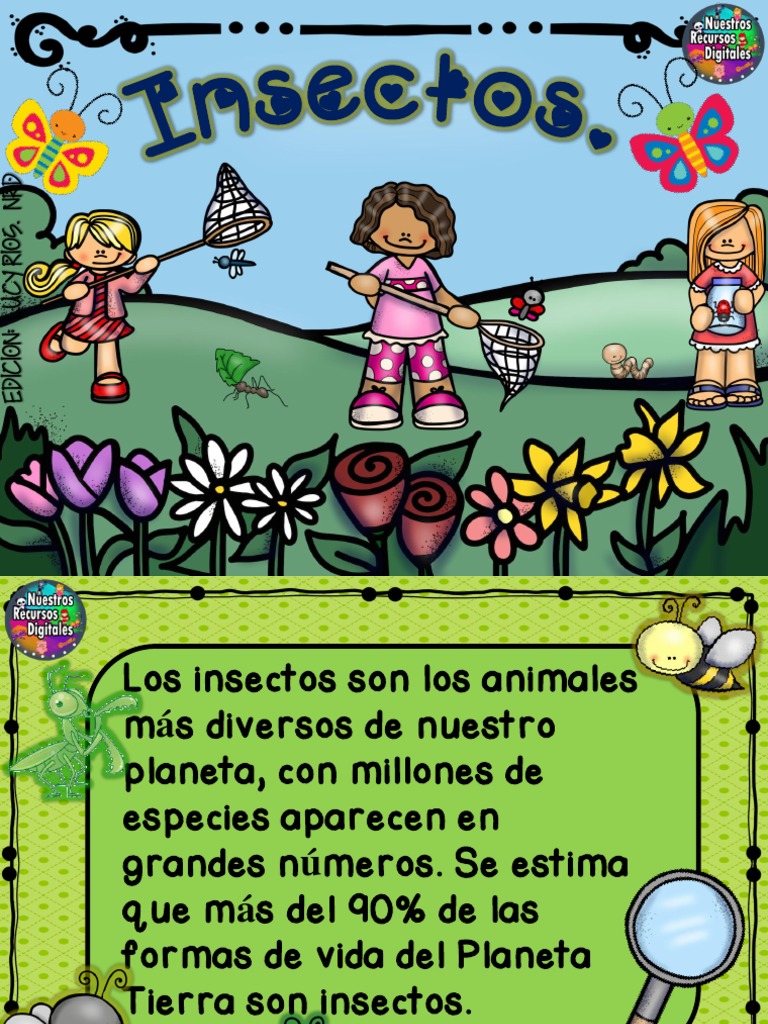 La diversidad y características de los insectos y arácnidos | PDF