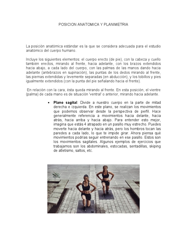 Posicion Anatomica y Planimetria | PDF | Términos anatómicos de ...