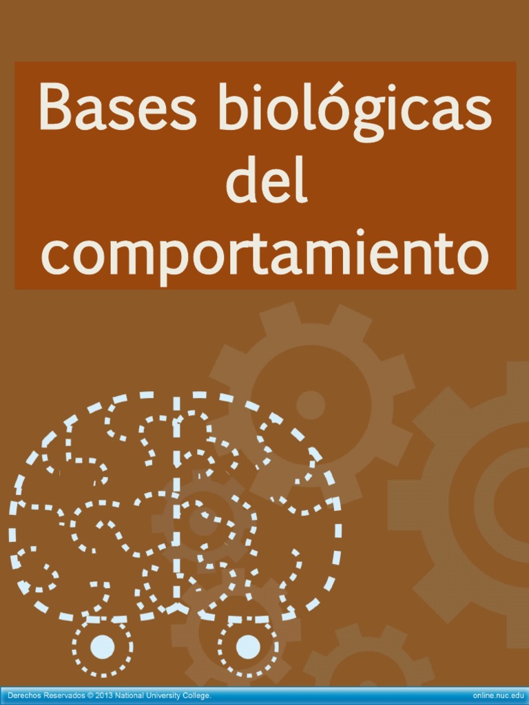 Bases Biologicas Del Comportamiento | PDF | Cerebro | Neurona