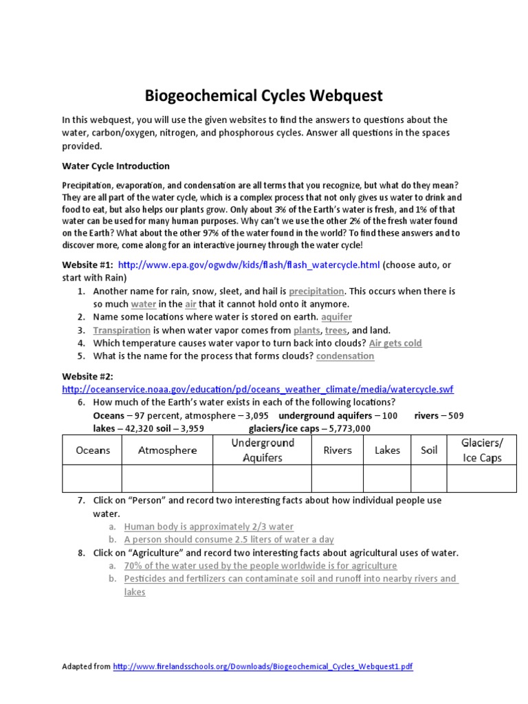 Biogeochemical Cycles Webquest Activity | PDF | Phosphorus | Nitrogen