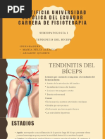 Prueba de Adams | PDF | La columna vertebral | Escoliosis
