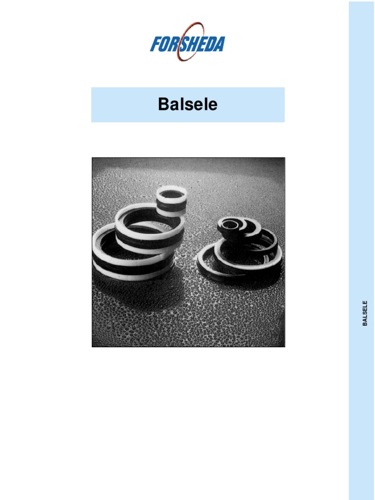 Polypac Balsele | PDF | Extrusion | Piston