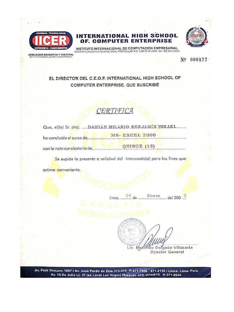 Certificado de Excel | PDF