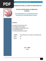 Crema Macril - para Qué Sirve, Composición y Contraindicaciones | PDF ...