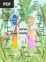 Anatomy of Womans Sex Organ | PDF | Labia | Clitoris