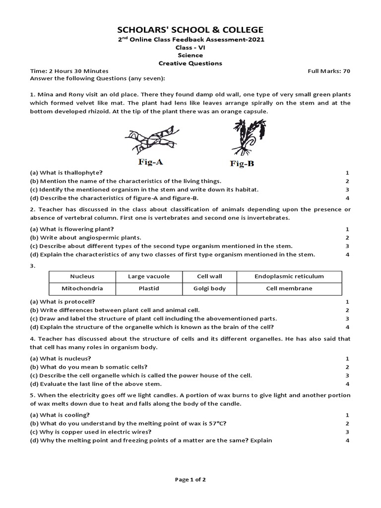 Grade 6 Science Exam Prep | PDF | Water | Solution