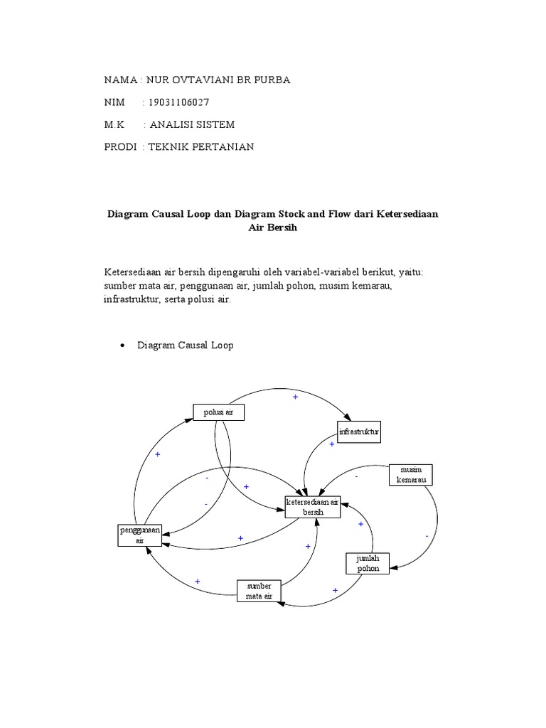 Diagran Causal Loop & Diagram Stock and Flow (Nur Purba) | PDF