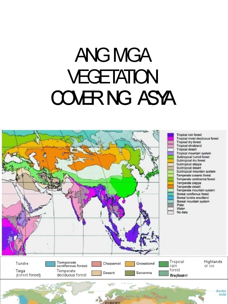 AP 7 - Aralin#3 (Ang-Mga-Vegetation-Cover-Ng-Asya) | PDF