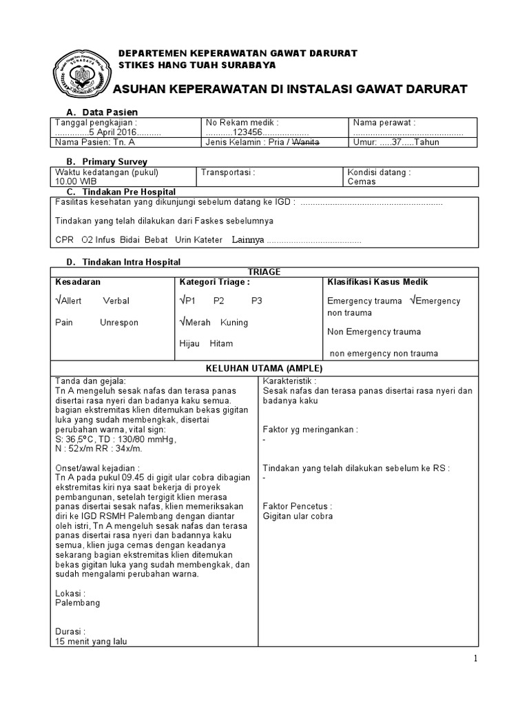 Format Pengkajian Di Igd Pdf