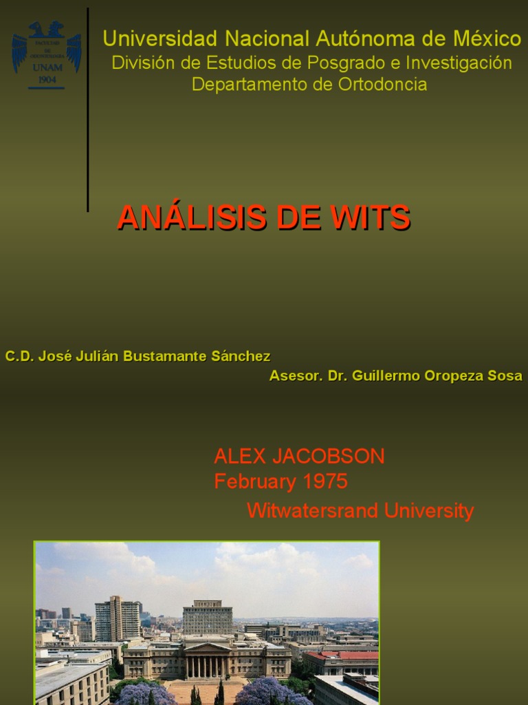 Analisis de Wits | PDF