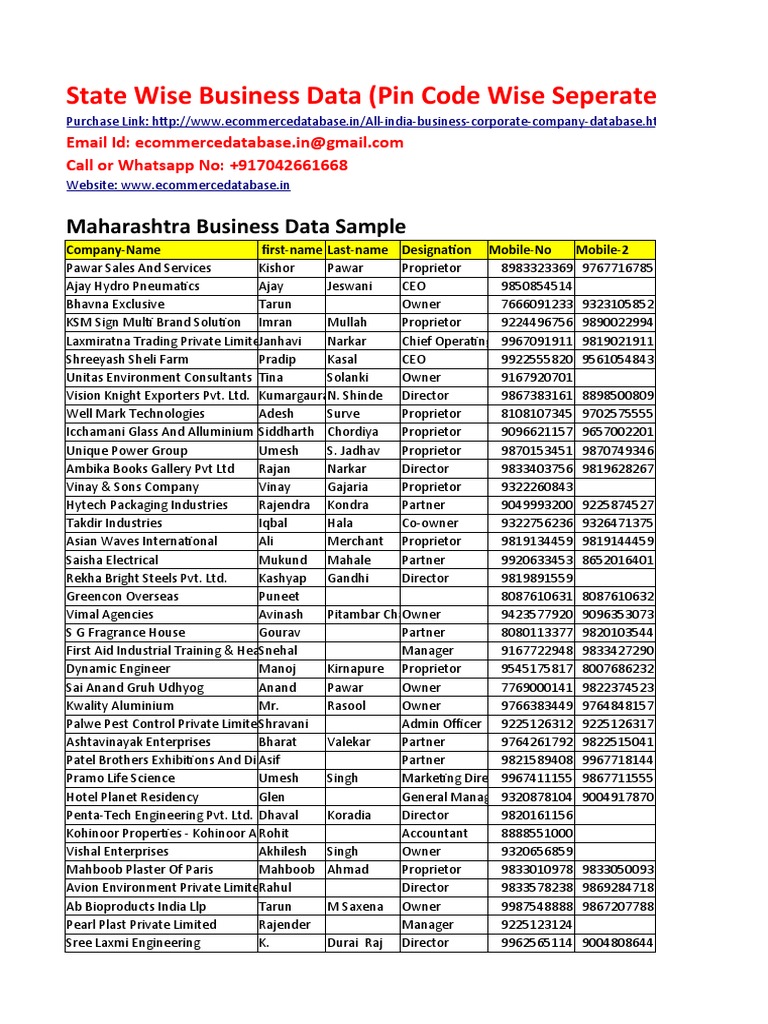 State Wise Business Data (Pin Code Wise Seperate File) | PDF
