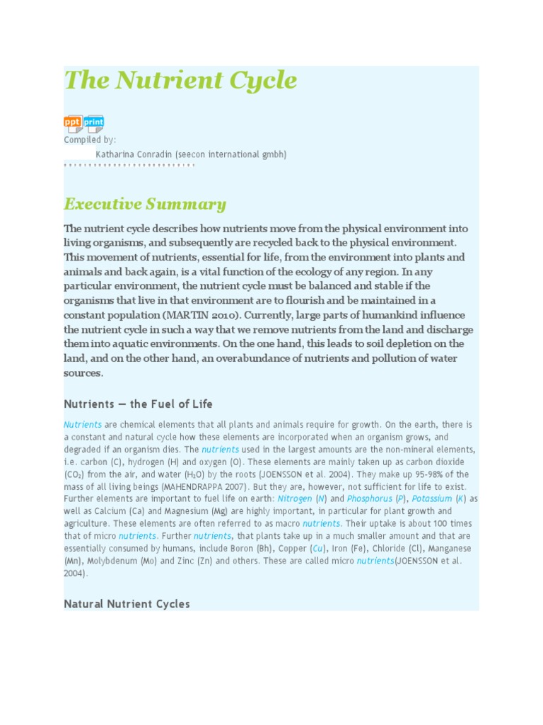 The Natural Nutrient Cycle: How Human Activity Has Disrupted This ...