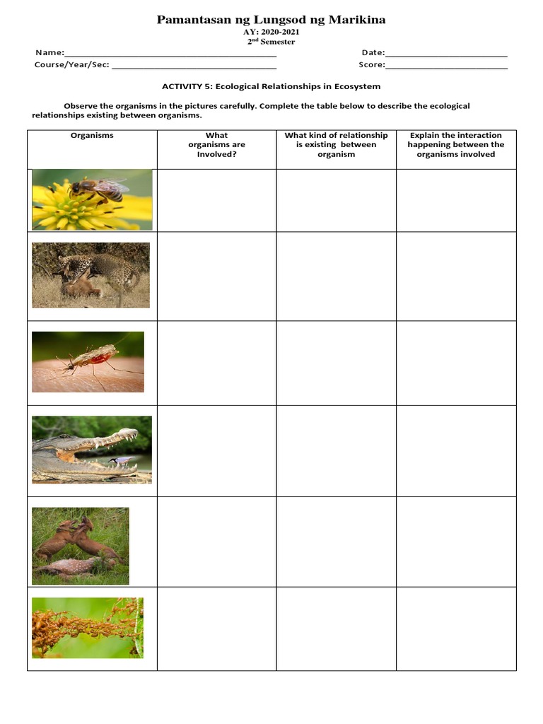 Activity 5 - Template - Ecological Relationships | PDF | Social Science ...
