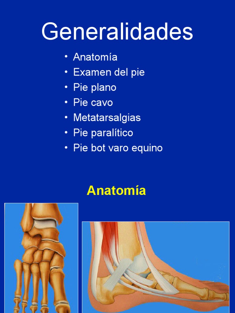 Pie-Generalidades - Radiologia | PDF | Pie | Tobillo