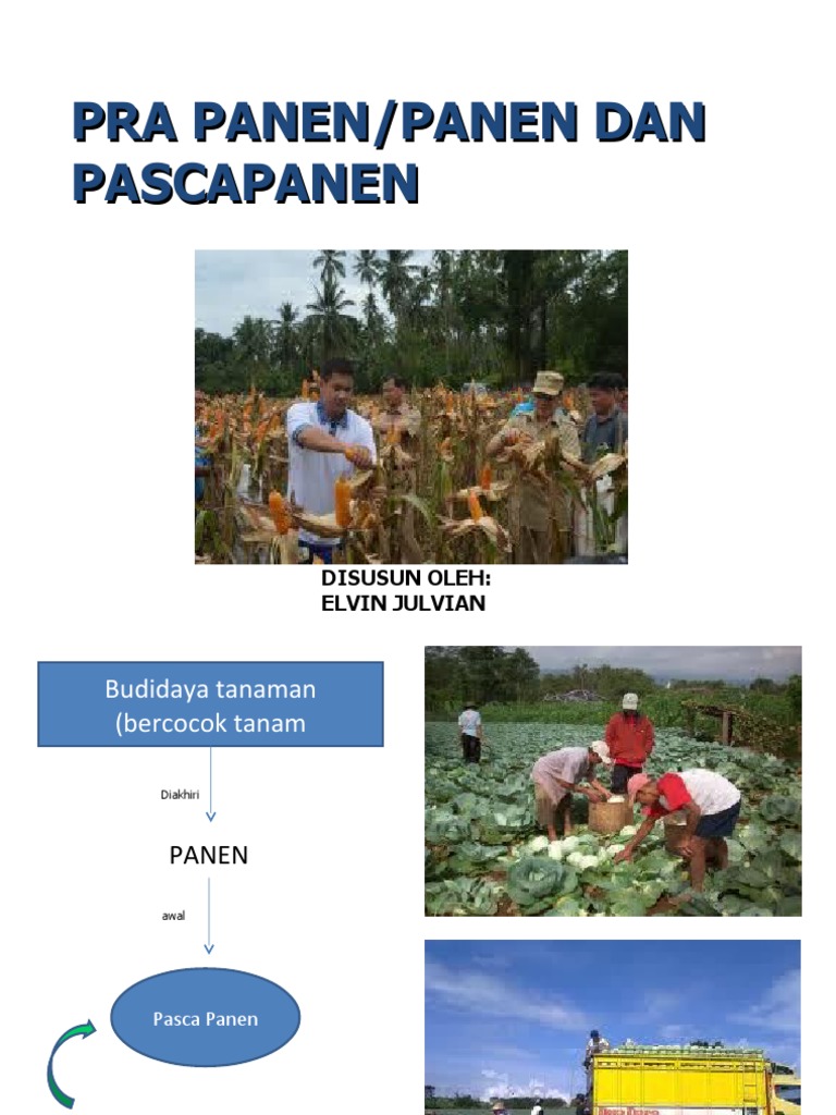 Faktor Pra Panen | PDF
