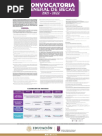 Lineamientos Beifi | PDF