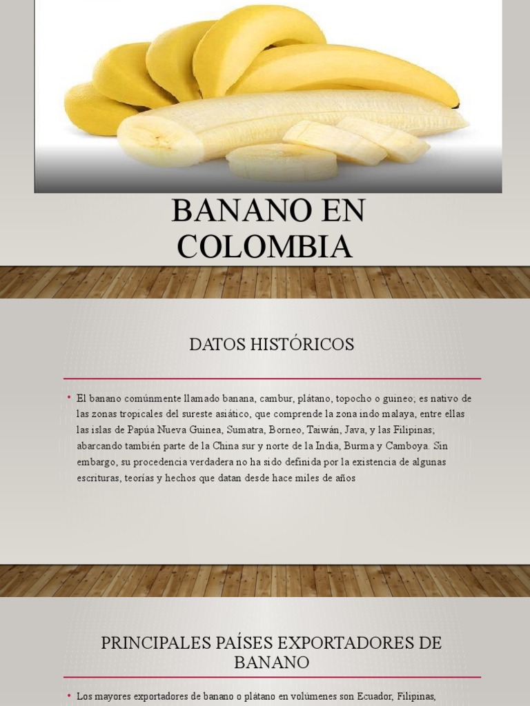 Exportación de Banano en Colombia | PDF | Plátano | Colombia