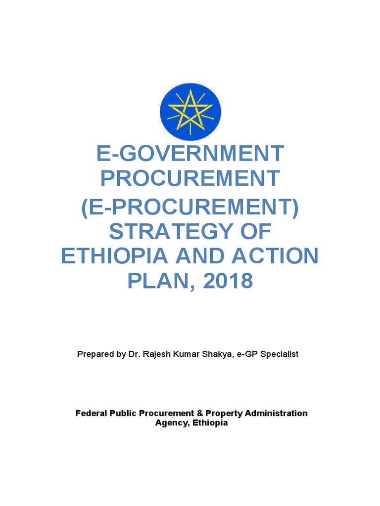 EGP Strategy Document Final | PDF | E Government | Governance