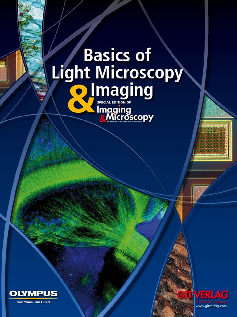 Basics of Light Micros | PDF | Microscopy | Color