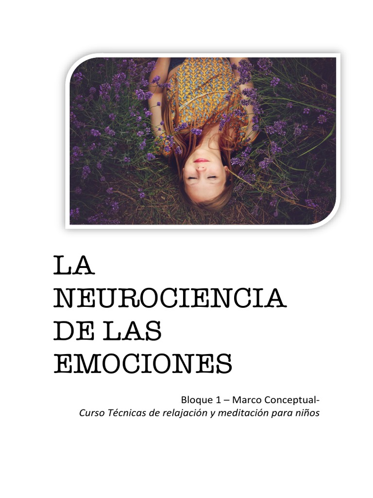 Neurociencia De Las Emociones Pdf Las Emociones Aprendizaje